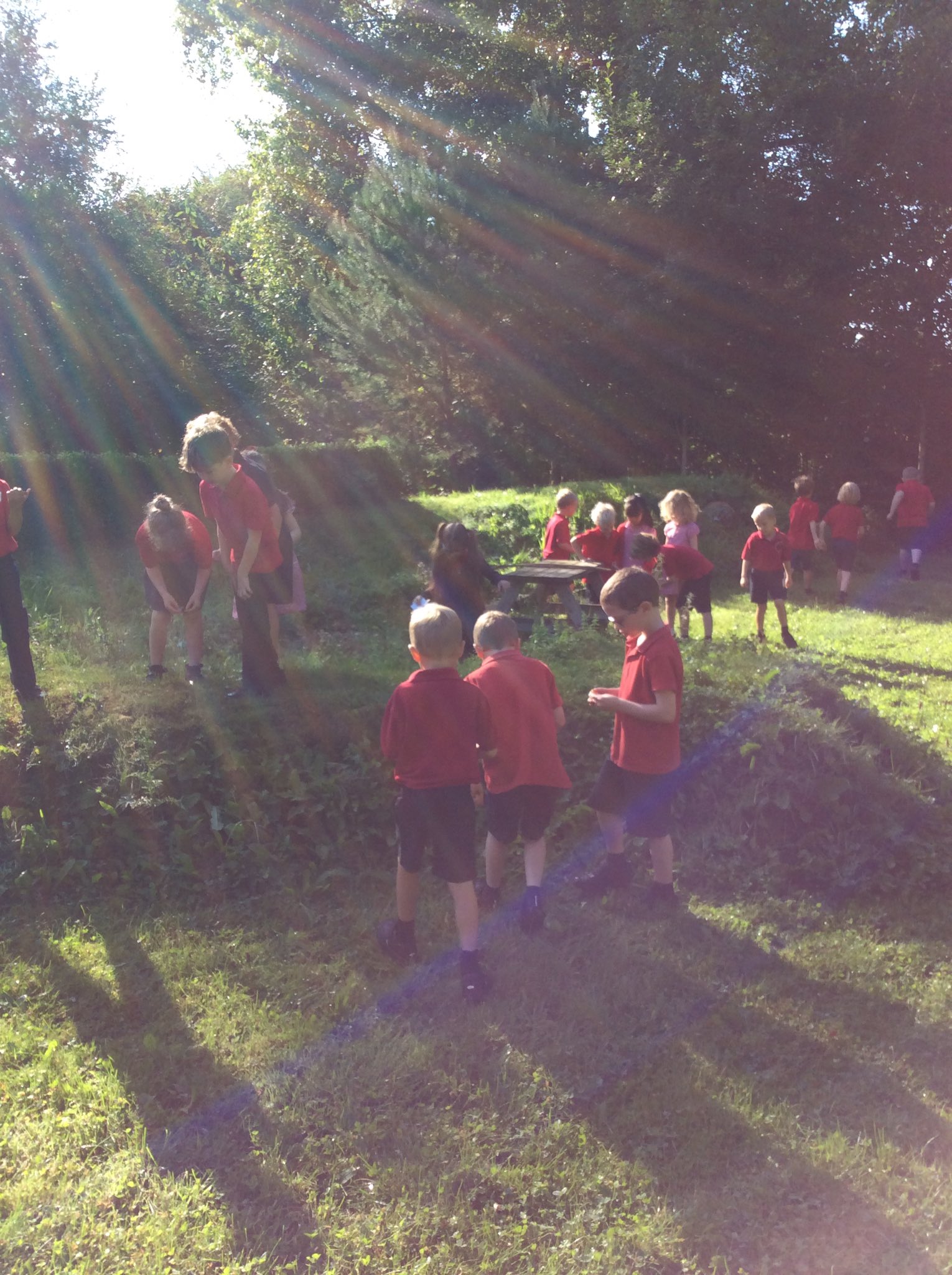 Willow Class - Batheaston Primary School